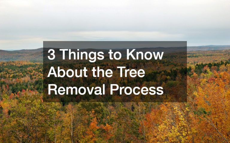 3 Things to Know About the Tree Removal Process - Engineering America